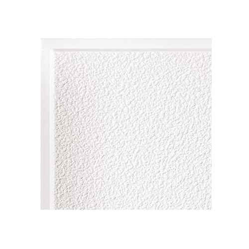 Genesis White Stucco Pro Revealed Edge Ceiling Tiles - Easy Drop-in ...